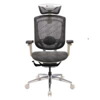 China GT Grey Frame Ergonomic Office Chair Swivel Relax Design 5D Paddle Shift for sale