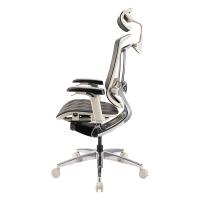 China GT Grey Frame Ergonomic Office Chair Swivel Relax Design 5D Paddle Shift for sale