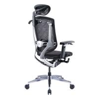 China Lift Ergonomic Office Chair Black PA Frame High End True Design for sale