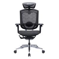 China Lift Ergonomic Office Chair Black PA Frame High End True Design for sale