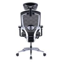 China Lift Ergonomic Office Chair Black PA Frame High End True Design for sale
