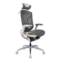 China Modern Reclining Ergonomic Office Chair BIFMA Standard PA Plastic Frame for sale