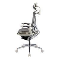 China Modern Reclining Ergonomic Office Chair BIFMA Standard PA Plastic Frame for sale