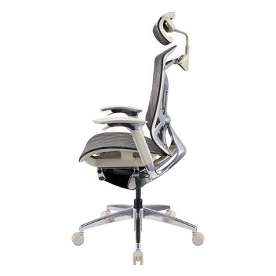 China Modern Reclining Ergonomic Office Chair BIFMA Standard PA Plastic Frame for sale