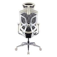 China Modern Reclining Ergonomic Office Chair BIFMA Standard PA Plastic Frame for sale