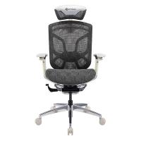 China Modern Reclining Ergonomic Office Chair BIFMA Standard PA Plastic Frame for sale