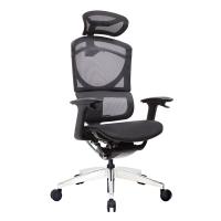 China Home Meeting Mesh Desk Office Chair With Back Support Adjustable for sale