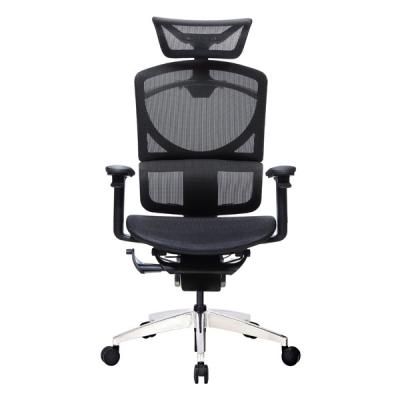 China Home Meeting Mesh Desk Office Chair With Back Support Adjustable for sale