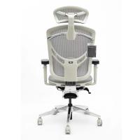 China High Back Mesh Office Chair 5D Paddle Control Swivel Desk White for sale