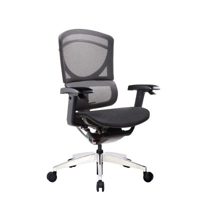 China ISEE X Ergo Mesh Office Chairs Mid Back Ergonomic Computer For Longsitting People for sale