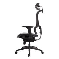 China ISEE Double Split Back Ergonomic Mesh Office Chairs Lumbar Support Swivel Rolling With Back for sale