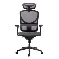 China ISEE Double Split Back Ergonomic Mesh Office Chairs Lumbar Support Swivel Rolling With Back for sale