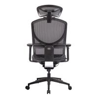 China ISEE Double Split Back Ergonomic Mesh Office Chairs Lumbar Support Swivel Rolling With Back for sale