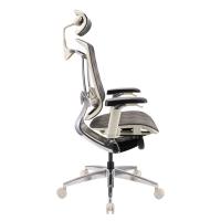 China Grey Frame Ergonomic Office Chair Revolving Seating Back Frame for sale