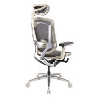 China Grey Frame Ergonomic Office Chair Revolving Seating Back Frame for sale