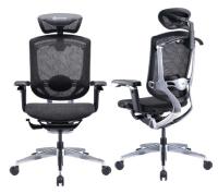 China Mesh Swivel Office Chairs Adjustable Ergohuman High Back Swivel Chair for sale