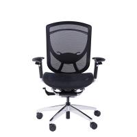 China Wintex Mesh Back Ergonomic Chair 21.50KGS Ergonomic Executive Desk Chair for sale