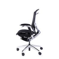 China Wintex Mesh Back Ergonomic Chair 21.50KGS Ergonomic Executive Desk Chair for sale