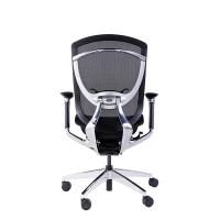 China Wintex Mesh Back Ergonomic Chair 21.50KGS Ergonomic Executive Desk Chair for sale