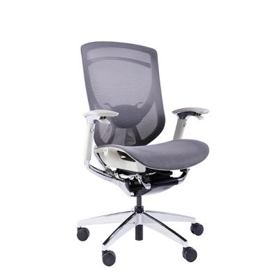 China Height Adjusting Arm Waist Support Function Mesh Back Office Chair for sale