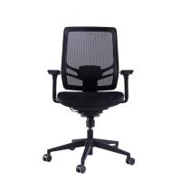 China Dynamic Self Adapting Mesh Back Office Chair Ergonomic Mesh Task Chair for sale