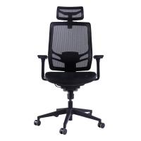 China Adjustable Headrest 4D Arms Lumbar Support and PU Wheels Mesh Back Ofiice Chair for sale