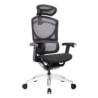 China Black Ergonomic Mesh Chair Lumbar Support High Back Swivel Chairs for sale