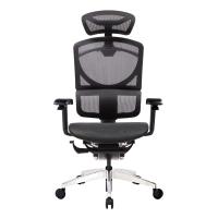 China Black Ergonomic Mesh Chair Lumbar Support High Back Swivel Chairs for sale