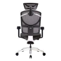 China Black Ergonomic Mesh Chair Lumbar Support High Back Swivel Chairs for sale