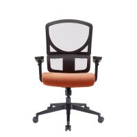 China Fabric Upholstery Ergo Office Chair 55mm PA Castors GT Office Chair for sale