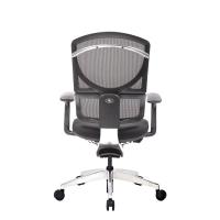 China Wintex Mesh Ergonomic Executive Chair Fabric Upholstery Ergo Task Office Chair for sale