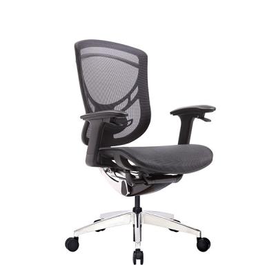 China Adjustable Lumbar Support Sliding Seat 3D Armrest Ergo Desk Chair for sale