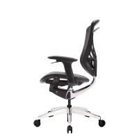 China Adjustable Lumbar Support Sliding Seat 3D Armrest Ergo Desk Chair for sale