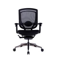 China Ergonomic Full Mesh Executive Chair Adjustable Lumbar Support Chair for sale