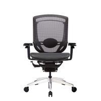 China Deluxe Marrit X Back Support Ergonomic Chair 4D Armrest 19.5KG for sale