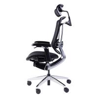 China Rolling Desk Chair with 5D Armrest 3D Lumbar Support Swivel Office Chairs for sale