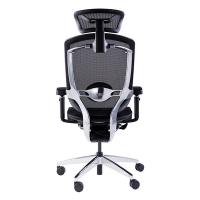 China Rolling Desk Chair with 5D Armrest 3D Lumbar Support Swivel Office Chairs for sale