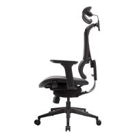 China ISEE Double Spilt Back Lumbar Support Swivel Ergonomic Mesh Office Chairs for sale
