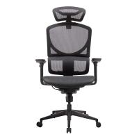 China ISEE Double Spilt Back Lumbar Support Swivel Ergonomic Mesh Office Chairs for sale
