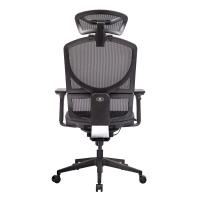 China ISEE Double Spilt Back Lumbar Support Swivel Ergonomic Mesh Office Chairs for sale