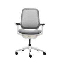 China Mid Back Desk Chair without Mechanism Breathable Mesh Ofiice Chair for sale