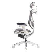 China GTCHAIR Ergonomic High Back Mesh Office Chair 3D Paddle Shift Control for sale