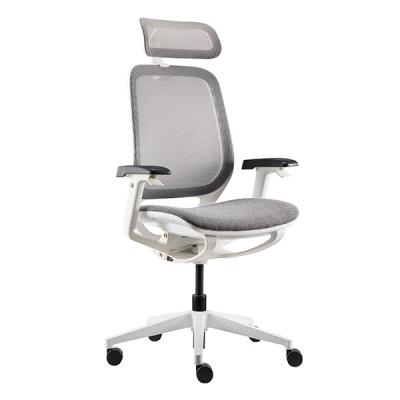 China Upholstery Mid Back Mesh Ergonomic Computer Chair 4D Paddle Shift for sale
