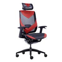 China GTCHAIR Inflex Computer Chair For Back Pain 3D Paddle Shift Mesh Gaming Chairs for sale
