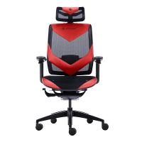 China GTCHAIR Inflex Computer Chair For Back Pain 3D Paddle Shift Mesh Gaming Chairs for sale