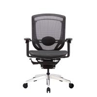 China EN 1335 MARRIT Full Mesh Ergonomic Office Chair Revolving Chair For Back Pain for sale