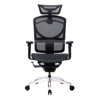 China Full Mesh ISEE Computer Office Chair Comfort High Back Swivel Chairs for sale