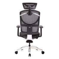 China Full Mesh ISEE Computer Office Chair Comfort High Back Swivel Chairs for sale