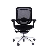 China Breathable Mesh Mid Back Ergonomic Office Chair Polished Aluminum Swivel Office Chairs for sale