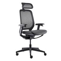 China Mid Back 4D Arm Built-in Mechanism with Hanger Ergo Ofiice Chair for sale